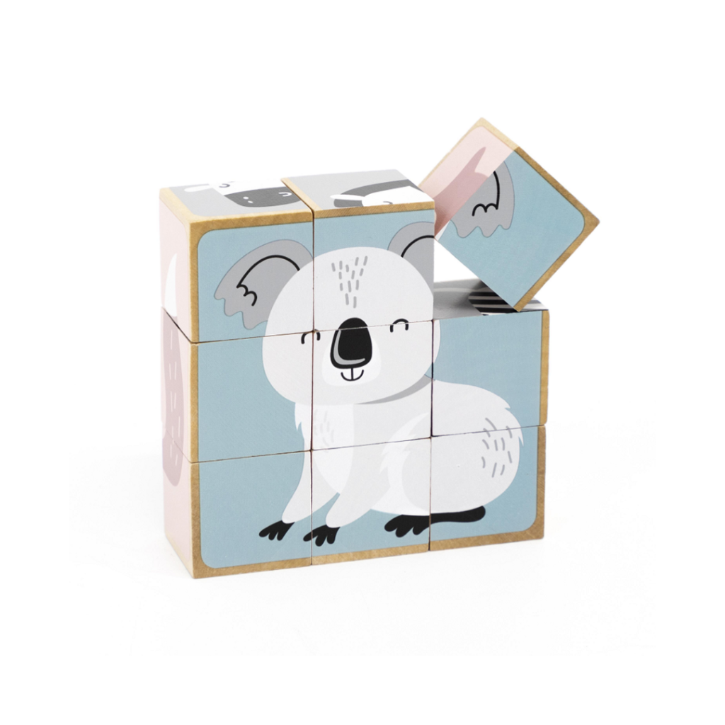 Pastel 6-Sided Wooden Puzzle Blocks